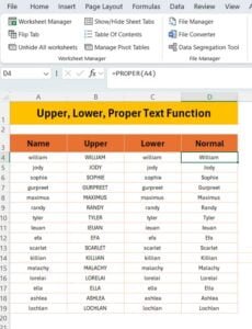 Upper Lower Proper Text Function in Excel with Examples - PK: An Excel Expert